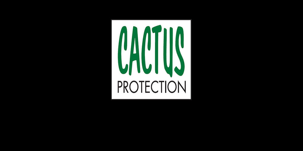 CACTUS PROTECTION - Télésurveillance, vidéosurveillance et alarme (60 ...